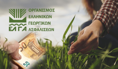 ΕΛΓΑ: Καταβολή αποζημιώσεων ύψους 73 εκατ. ευρώ για ζημίες του 2025 ...